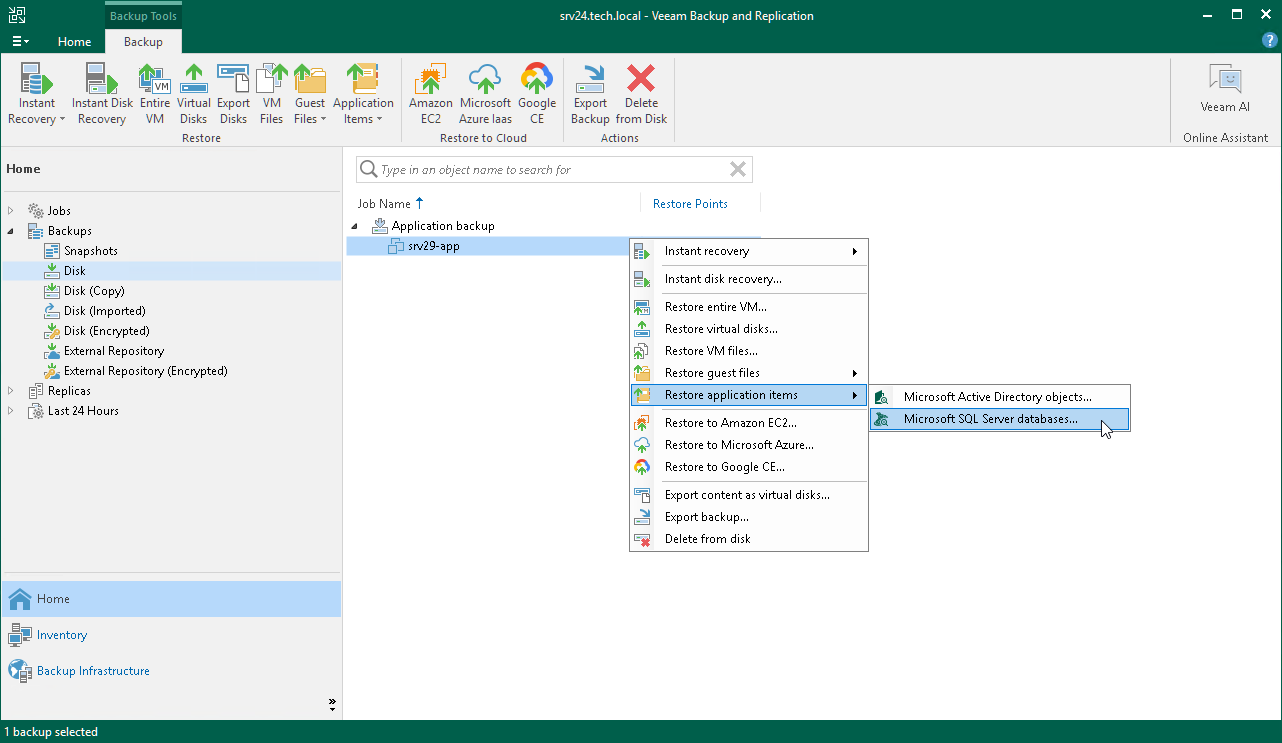 Restoring Microsoft SQL Server Items User Guide For Microsoft Hyper V